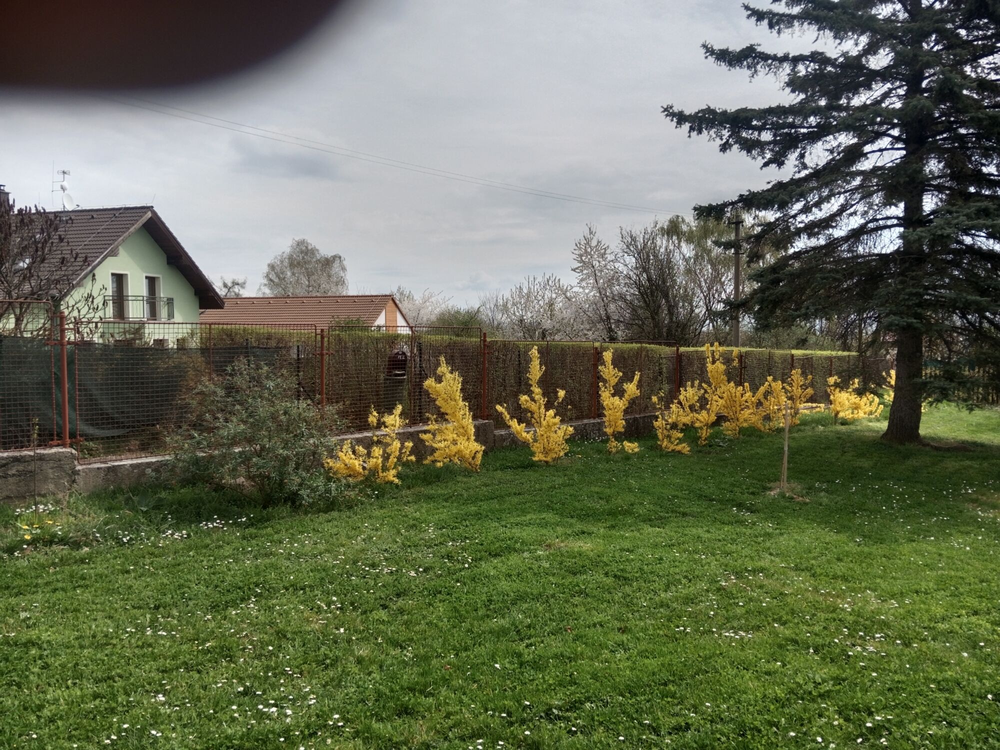 Školní zahrada nebo arboretum? | ZŠ Krupka